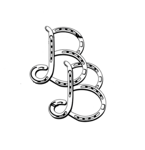 New Fence Repair & Installation Company, Wood Fences, Outdoor Kitchen ...